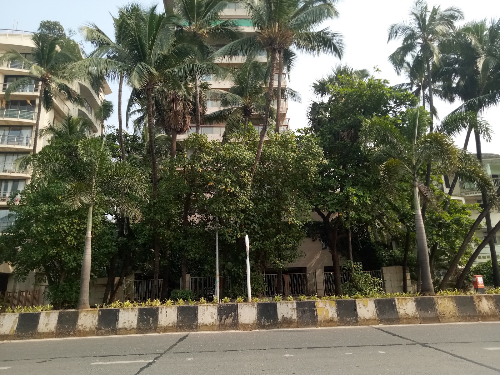 Carter Road Promenade Bandra Mumbai (2026) – Best of TikTok, Instagram ...